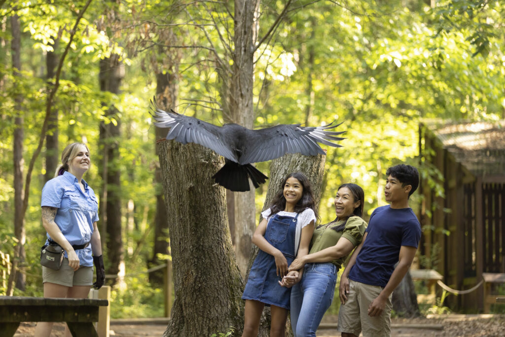 Stories of Impact: Carolina Raptor Center – Women's Impact Fund