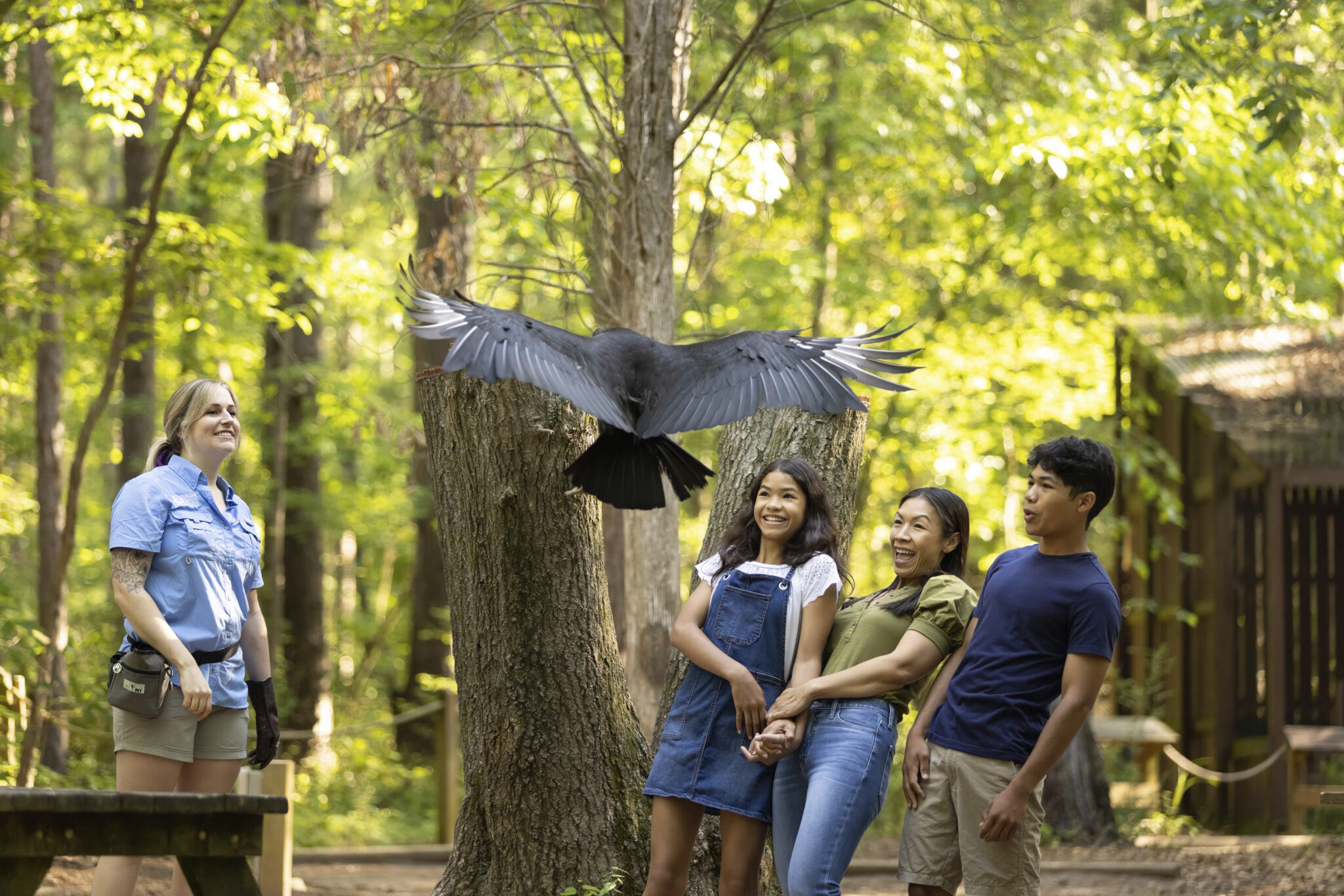 Stories of Impact: Carolina Raptor Center – Women's Impact Fund